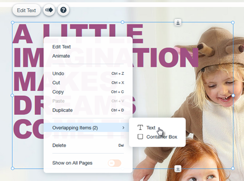 Wix Editor: Unable to Select an Element | Help Center | Wix.com
