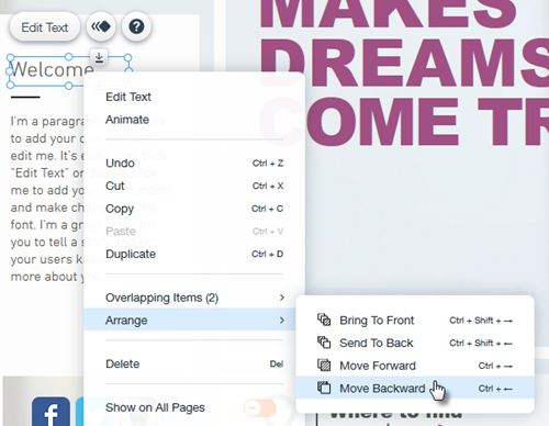 Wix Editor: Unable to Select an Element | Help Center | Wix.com